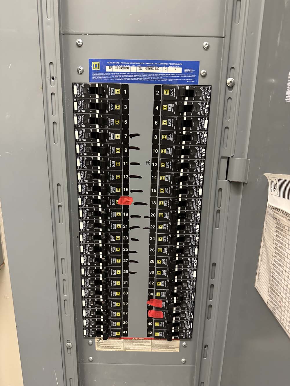 Panel E
